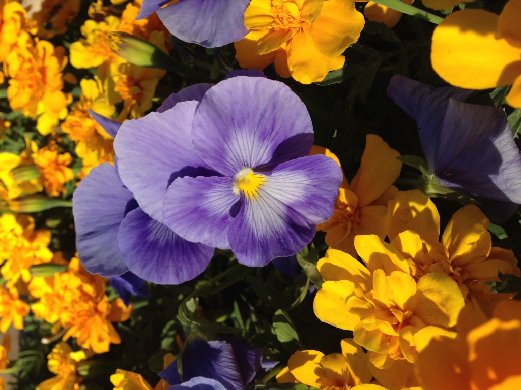 An “Extreme Flavorist” Spices Up the Musical Instrument Museum