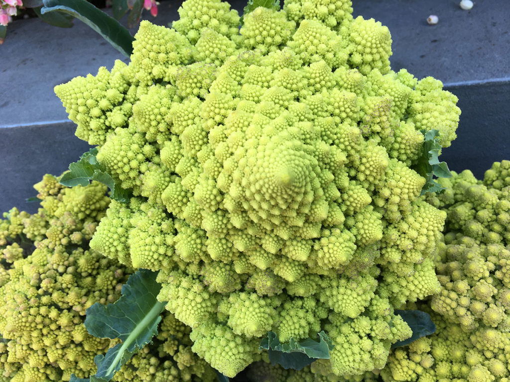The Garden at AT&T Park Cultivates Romanesco Fans