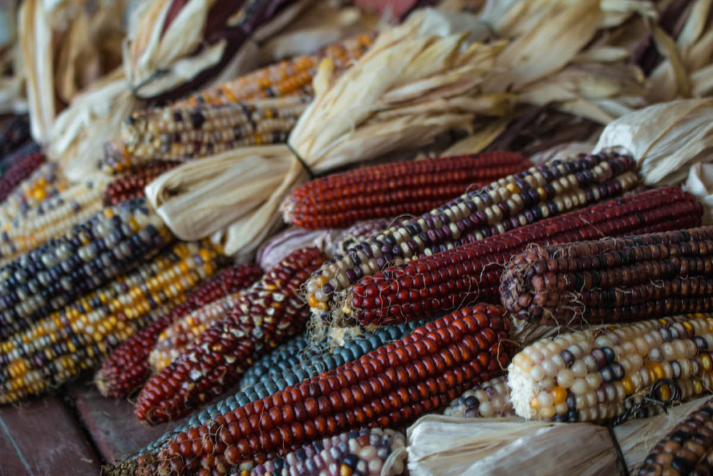 Lessons from a Seasoned Farm to Fork Partner