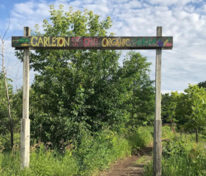 After a Fallow Year, Students Return to Carleton’s Organic Farm