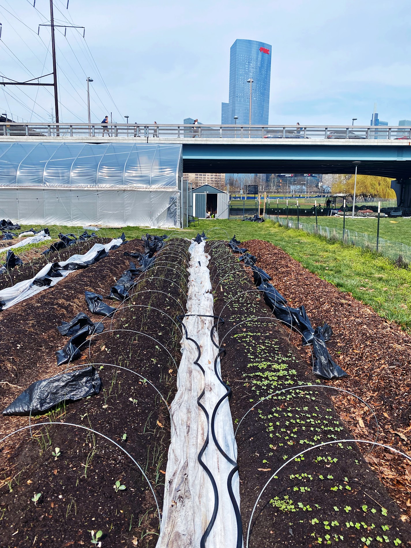 A Spring Harvest Dinner at Penn’s Quaker Kitchen