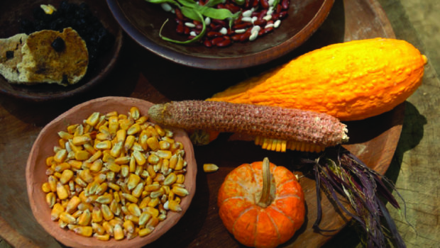 Learning from the Three Sisters