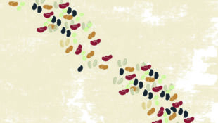 How Do We Fix The Future? Beans is How