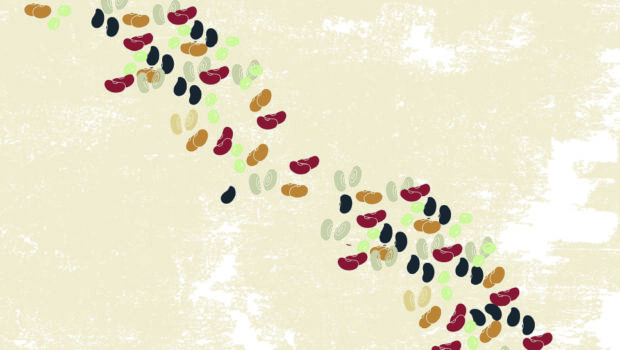 How Do We Fix The Future? Beans is How
