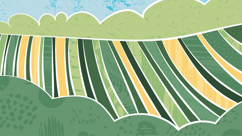 How EFI and CIW Support Women Farmworkers | Blog | Bon Appétit ...
